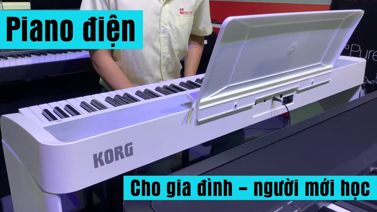 Piano Điện KORG B2 | Việt Nhạc Center
