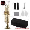 Kèn Trumpet Yamaha YTR-2330 | Việt Nhạc Center